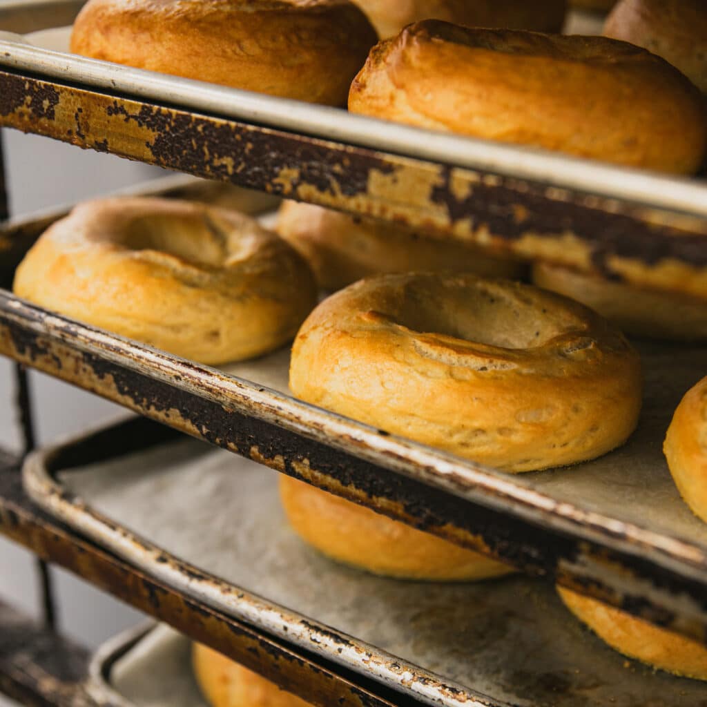 Sonoran Barrio Bagels 6 Pack - Chompie's Restaurant, Deli, Bakery, and Catering